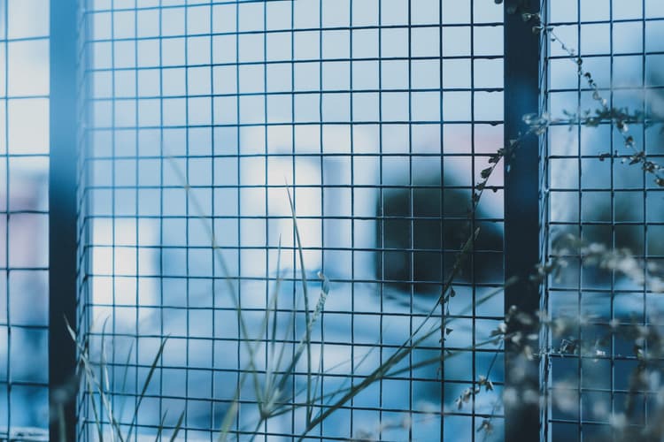 Homepage | Datatonic