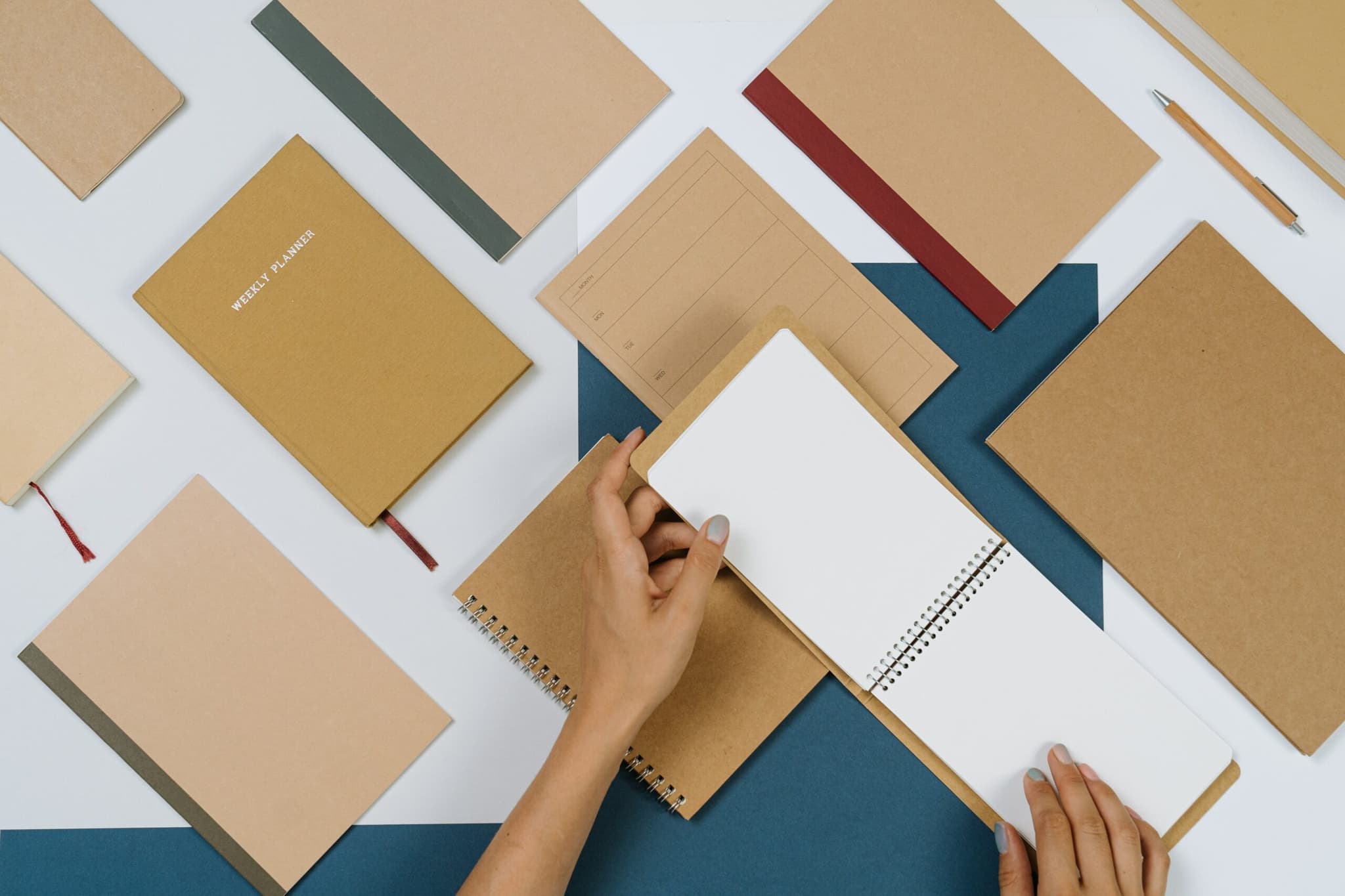 Responsible AI: The Role of Data and Model Cards | Datatonic